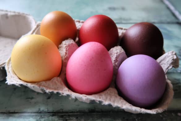 The craft blog sharing easy craft ideas